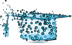 BLUEBIRD University | #1 bei Schulungen für EPM/CPM und BI