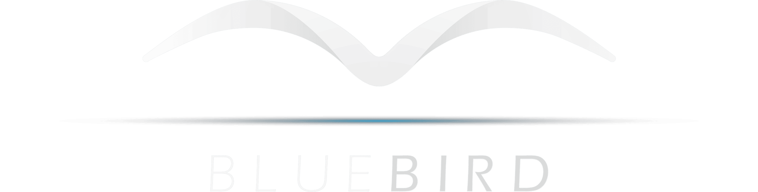 Bluebird Consulting - Together to project success!